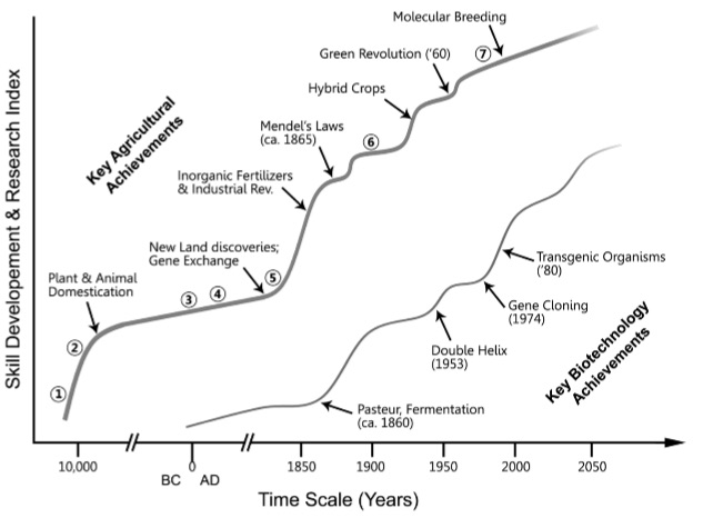 NEW SAVANNA: The evolution of agriculture from 10 kya and into the future