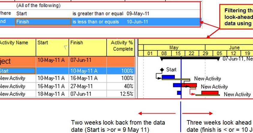 Toolbox4Planning: How to Work with Look-ahead Schedule Using P6
