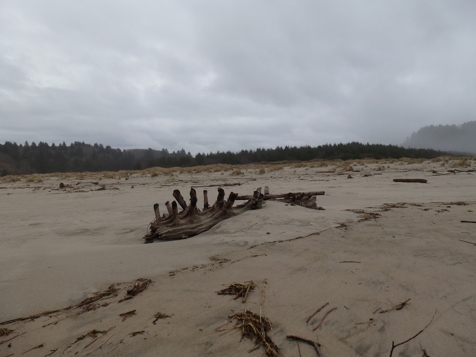 Hiking Oregon: Salmon River Estuary