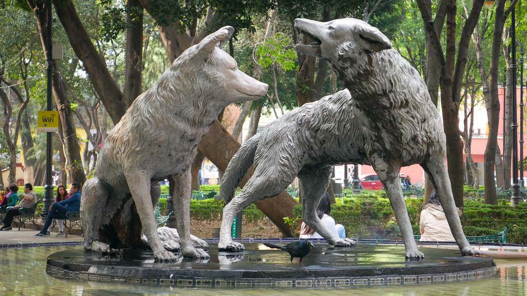 Max Sanchez: Mexican fish!