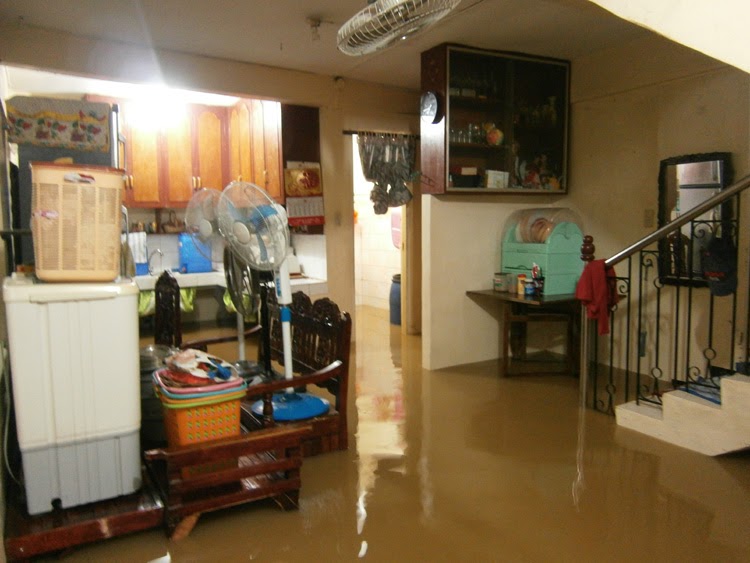 Home Safety: Risks and Hazards of Indoor Flooding ~ Born a Dragon ...