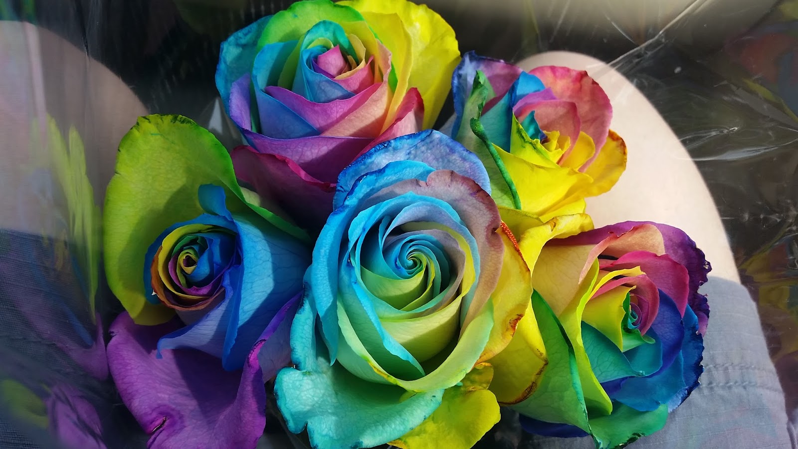 Art by Ray Bricker: Lines, Value, Shapes/Form, Color, Texture, Space