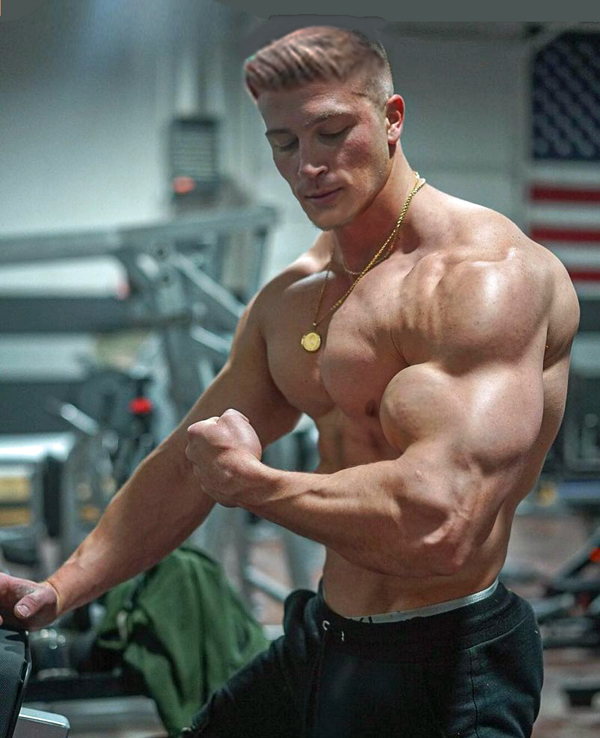 BUILT by tallsteve: A Bulging Bicep