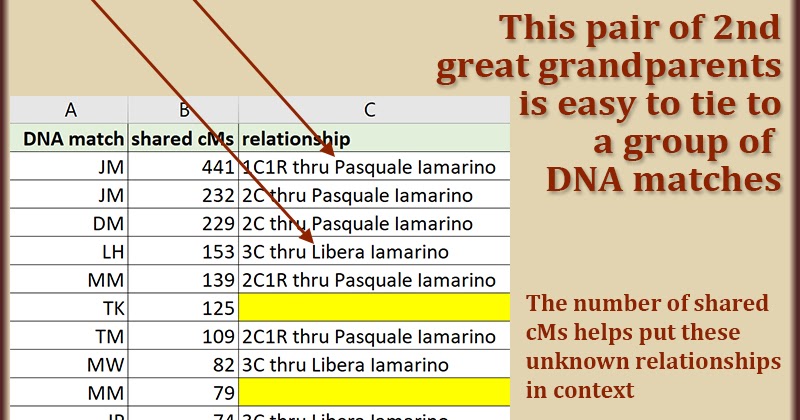 Fortify Your Family Tree: How to Add Context to DNA Matches