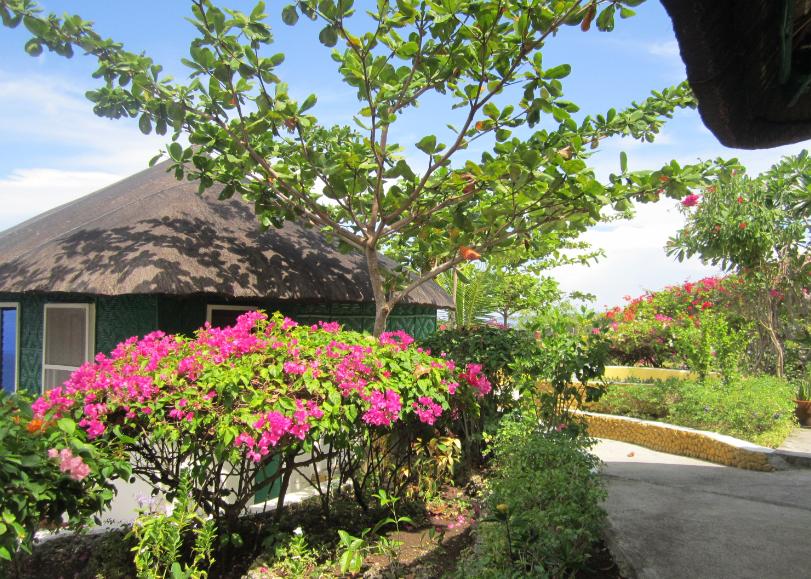 Sea Turtle Lagoon Resort: Tabogon, Cebu, Philippines | Traveling In The ...