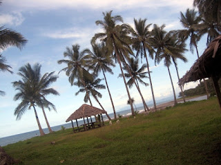 Beauty from the ashes: Dulag, Leyte