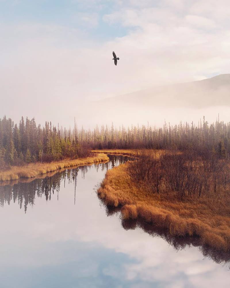 Chingum — Discover Curiosities: The magical landscapes by American ...