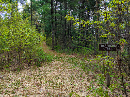 Wisconsin Explorer: Hiking the Raspberry Route at Governor Knowles ...