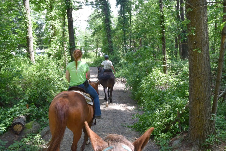 Pennsylvania & Beyond Travel Blog: Mountain Creek Riding Stables – The ...