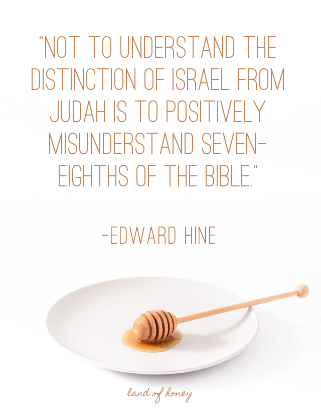 land of honey: Understanding the Other 88% of The Bible