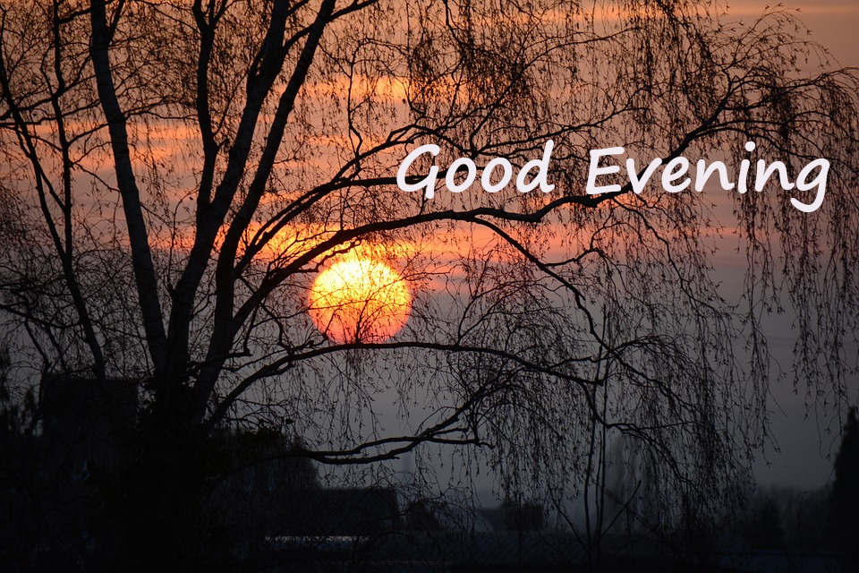 Top 10 beautiful Good Evening Images greating Pictures,Photos for ...