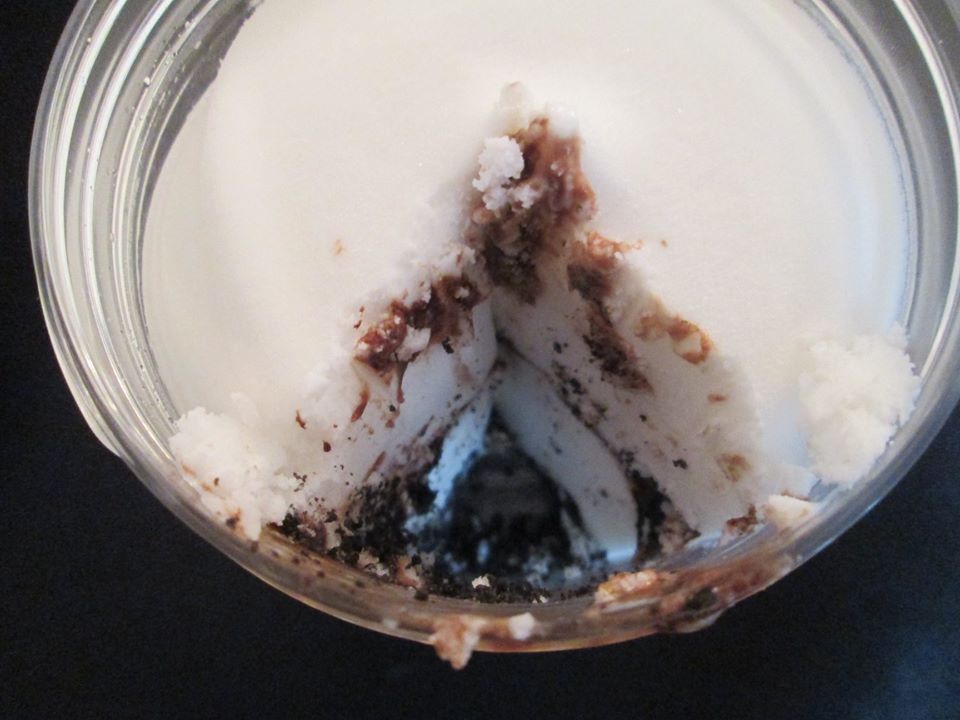 David's Ice Cream Reviews: Talenti - Coconut Chocolate Cookie