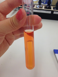 Microbiology Mania: Fermentation Tests : Glucose, Lactose, Sucrose, and ...