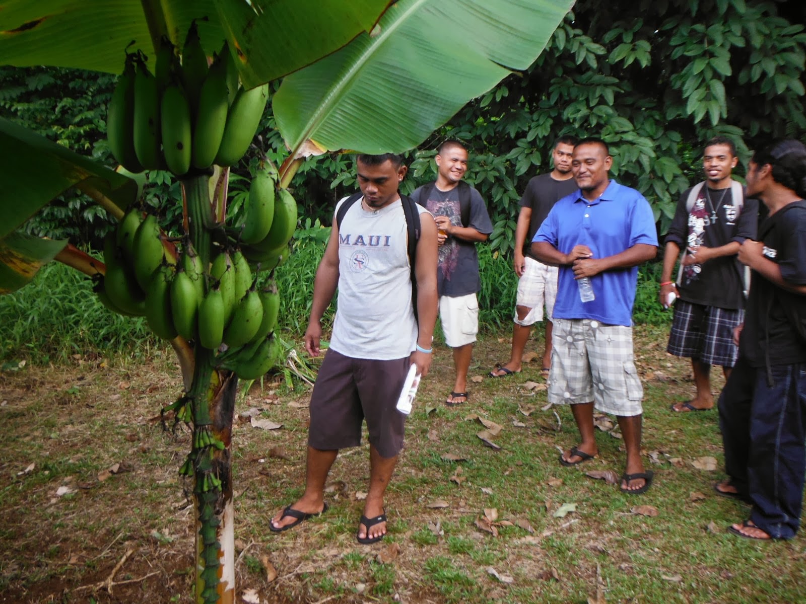 Island Food Community of Pohnpei