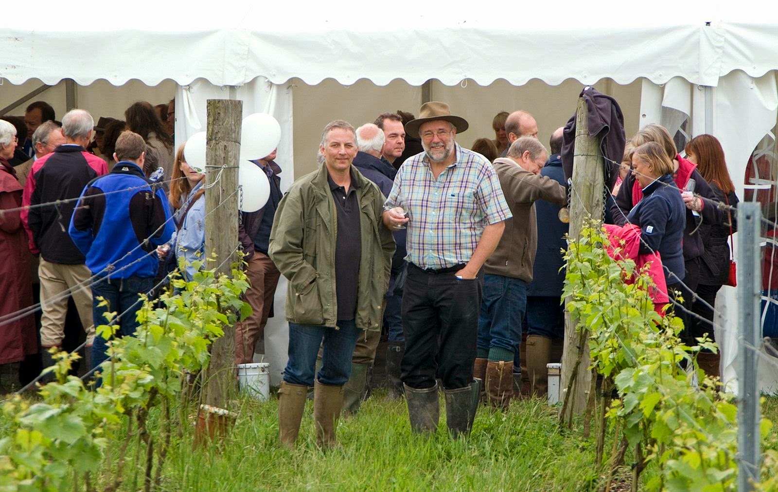 Wine Club Fun at the Vineyard - Albury Vineyard