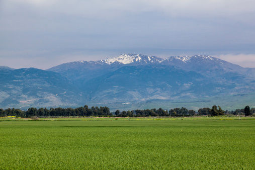 Land of Israel: Mountains of Israel