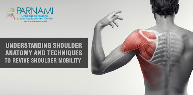 Understanding Shoulder Anatomy And Techniques To Revive Shoulder Mobility
