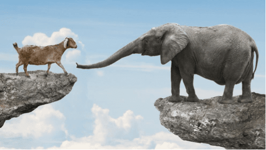 Durante décadas, os biólogos têm lutado para explicar o altruísmo em ...