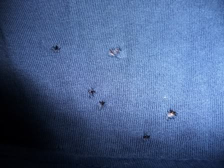 ernie k designs: Storing Woolies, Not Just In the Freezer. What's ...