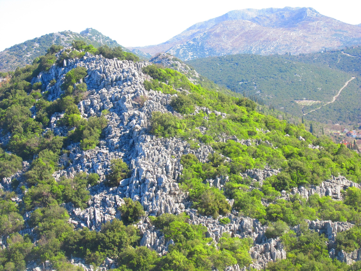 KOD NEUMA OTKRIVEN DREVNI MEGALITSKI OPSERVATORIJ STAR VIŠE OD 3600 ...