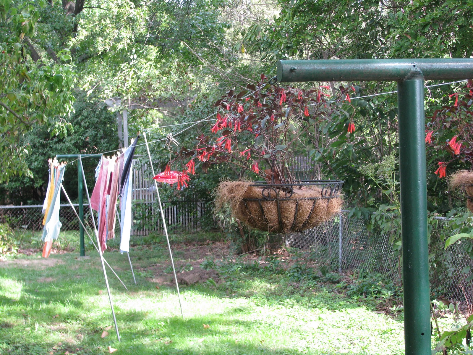 Rejoice and Be Glad In It: Solar Clothes Drying