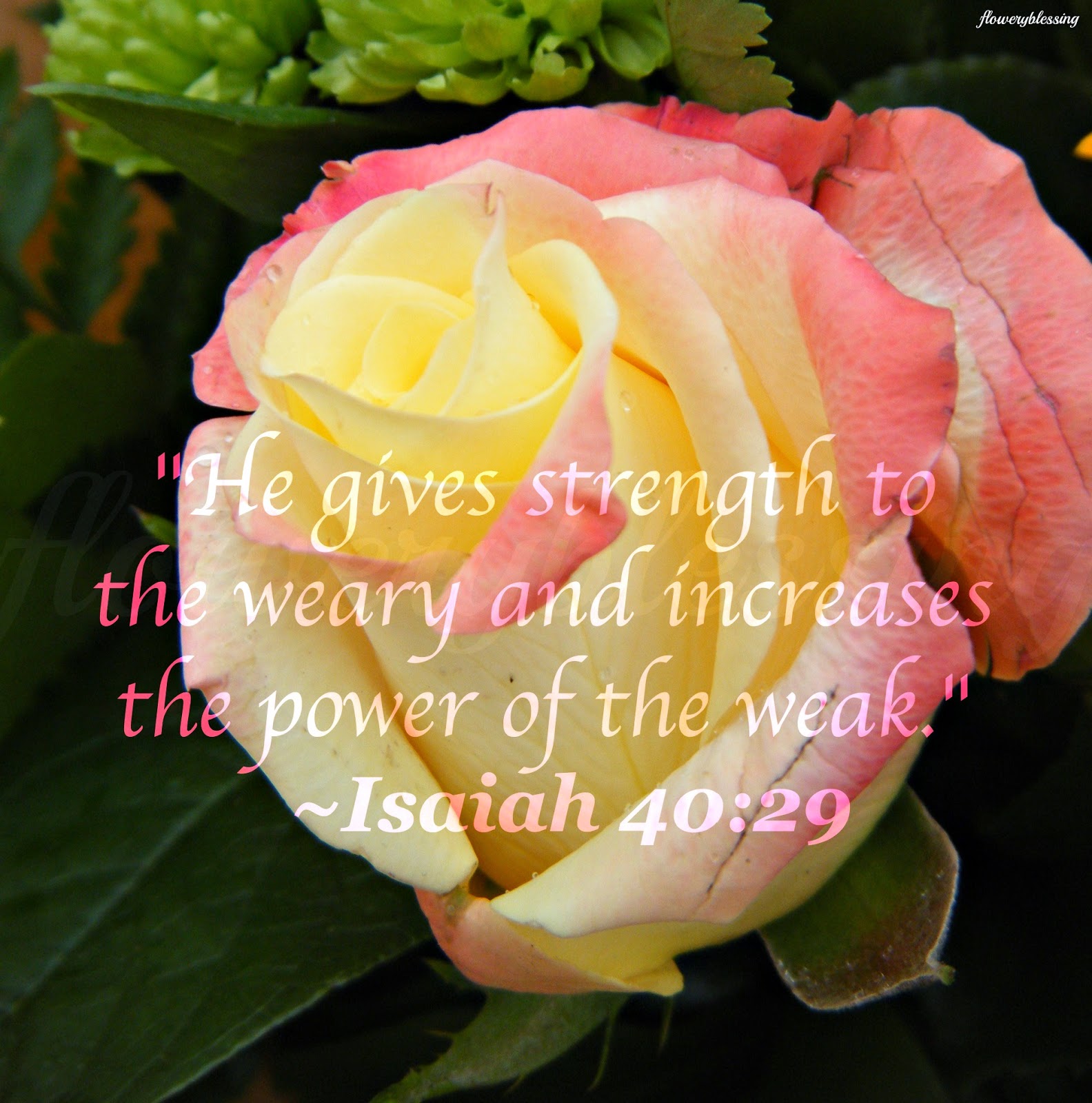 Flowery Blessing: "He gives strength to the weary and increases the ...