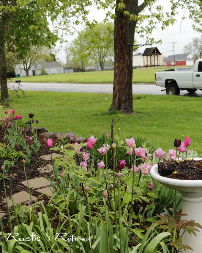 Spring Garden Tour 2020 | Rustic & Refined