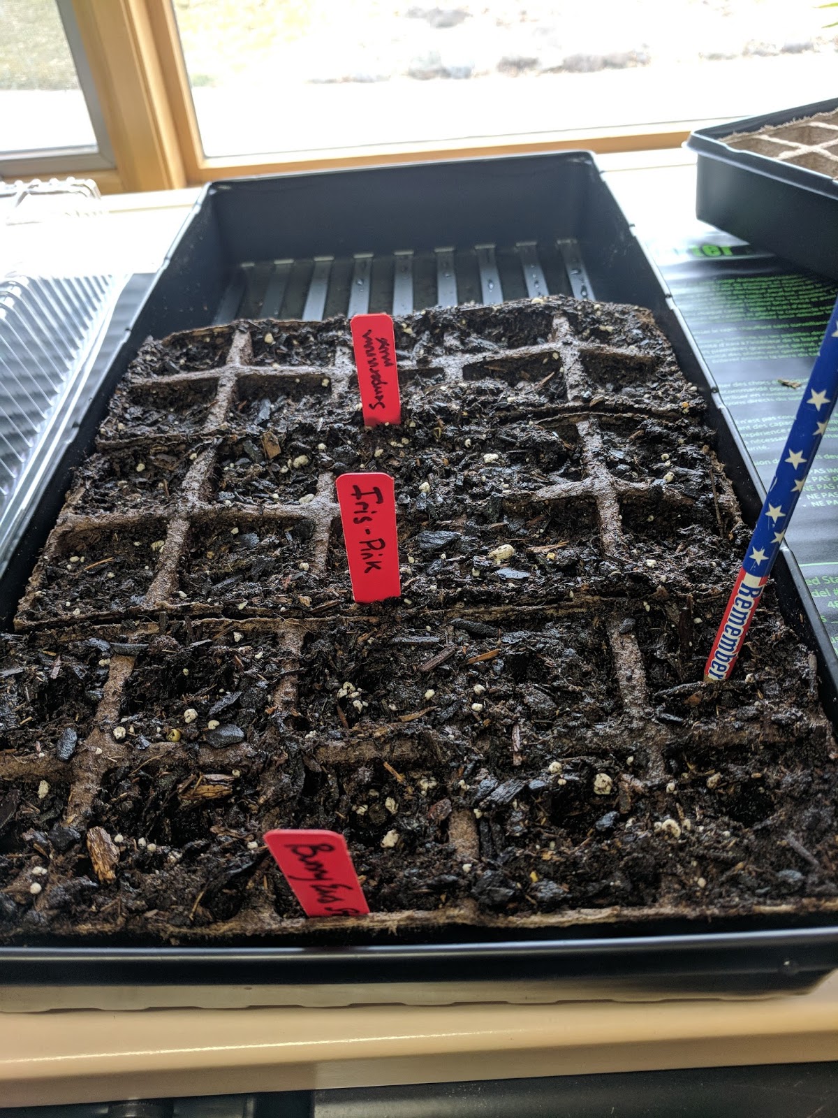 CO-Horts: Adventures with Weird Seeds from the Internet