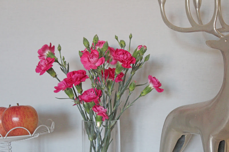 Kultakutri: Neilikka on ruusuni