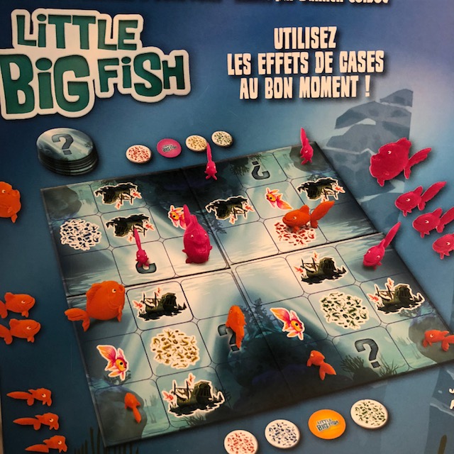 Des Jeux Une Fois: Little Big Fish