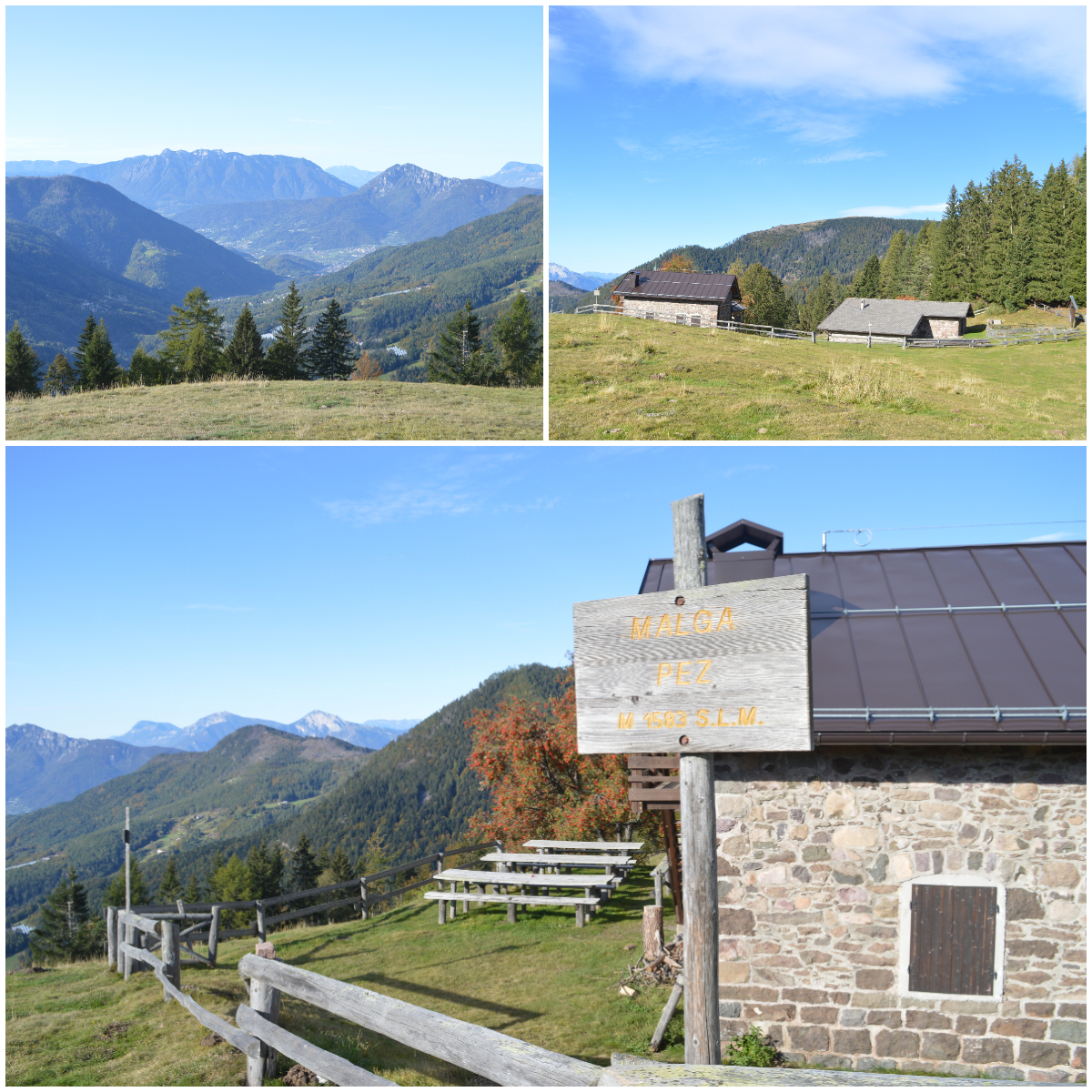 Escursione al Dosso di Costalta da Passo Redebus - Altopiano di Pinè ...