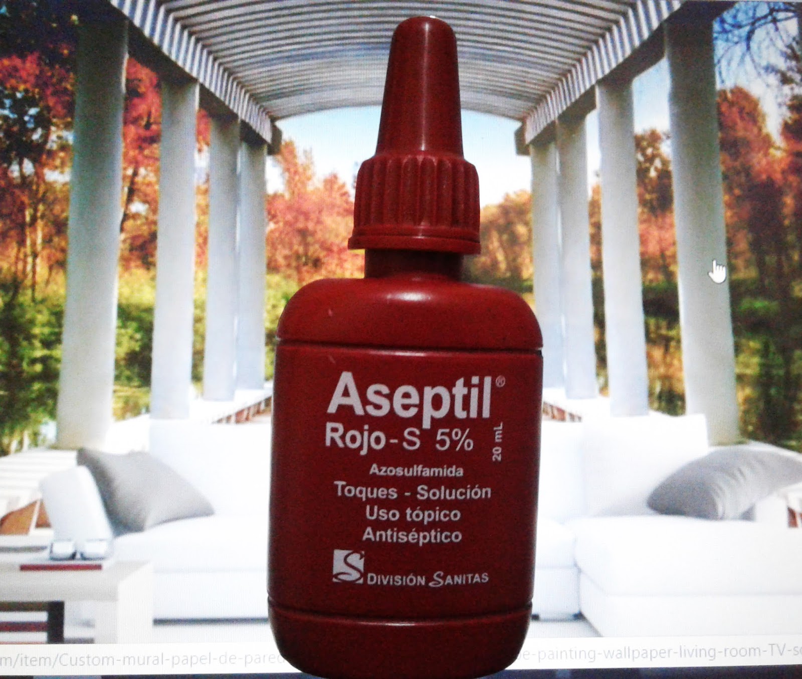 La ceja de Frida Cultural: CÓMO UTILIZAR CORRECTAMENTE EL ASEPTIL ROJO