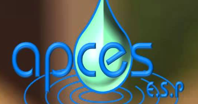 APCES.ESP 2016: GENERALIDADES