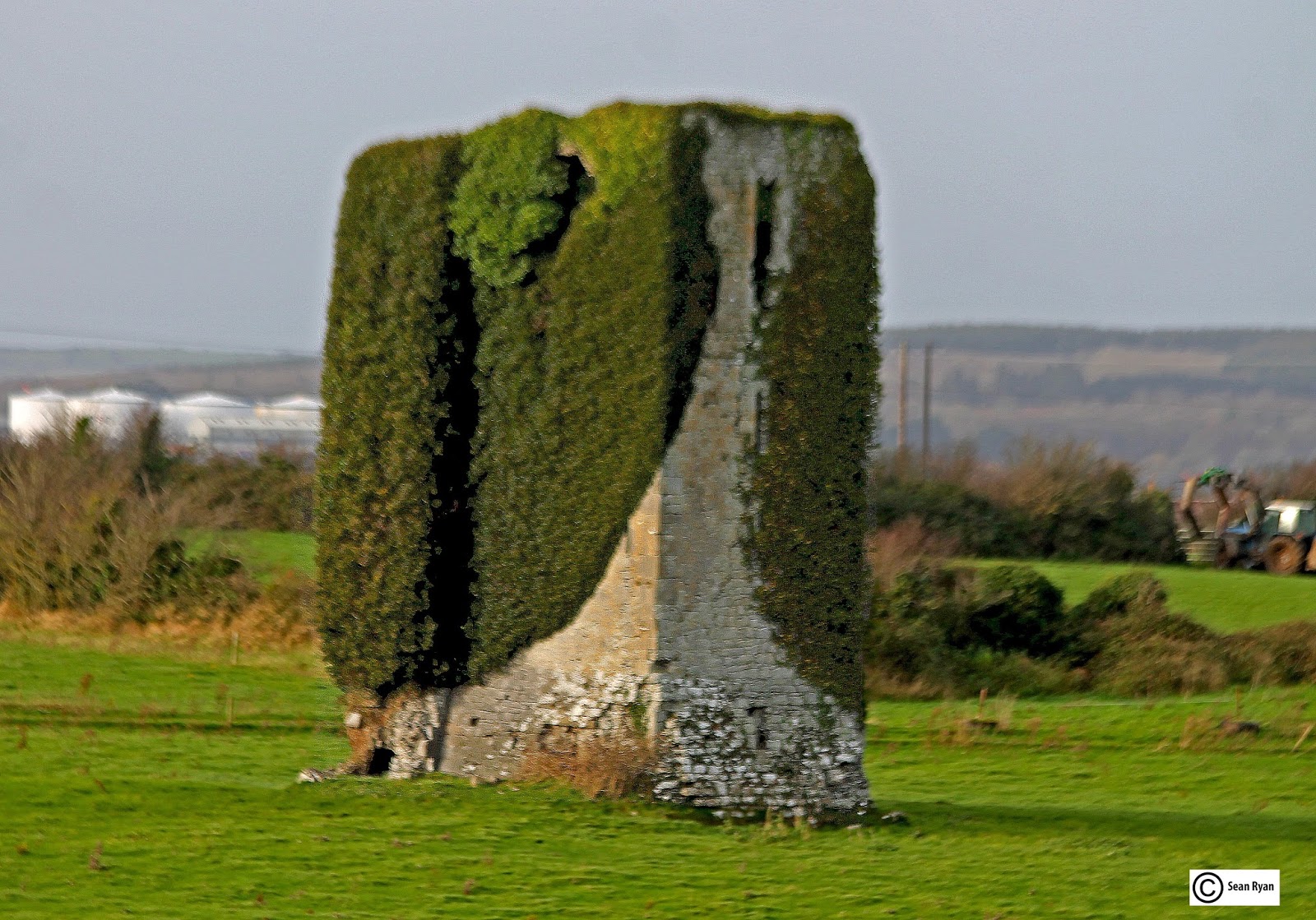 Shannon Estuary, Irelands' Wild Atlantic Way, Limerick,Clare & Kerry ...