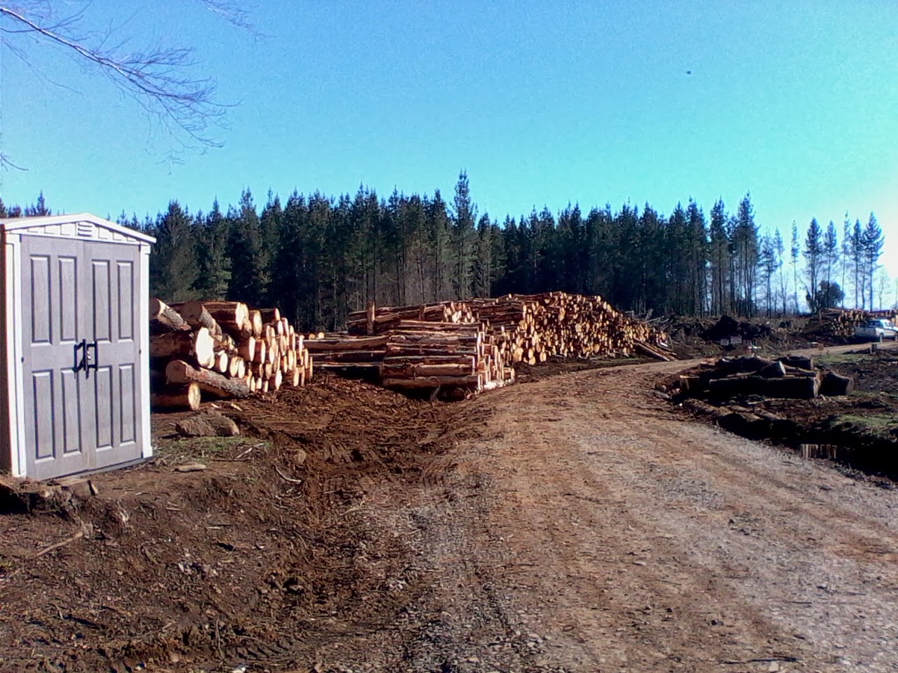 Material de Educación 1º a 8º Básico: La madera: Un Recurso Renovable.