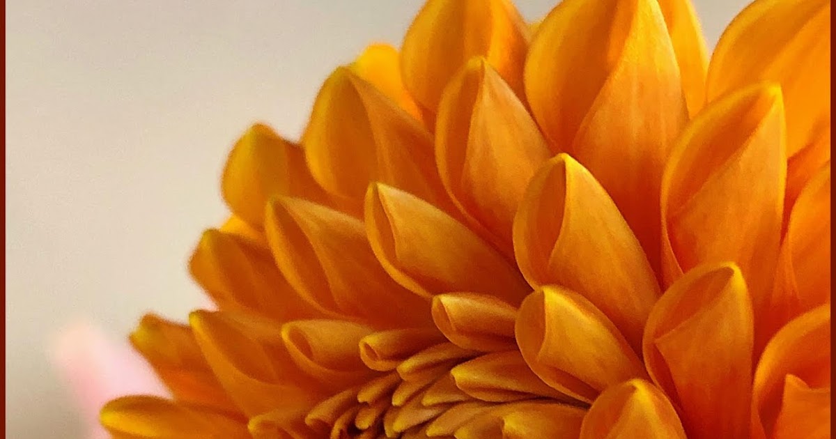 Beth Fish Reads: Wordless Wednesday 542