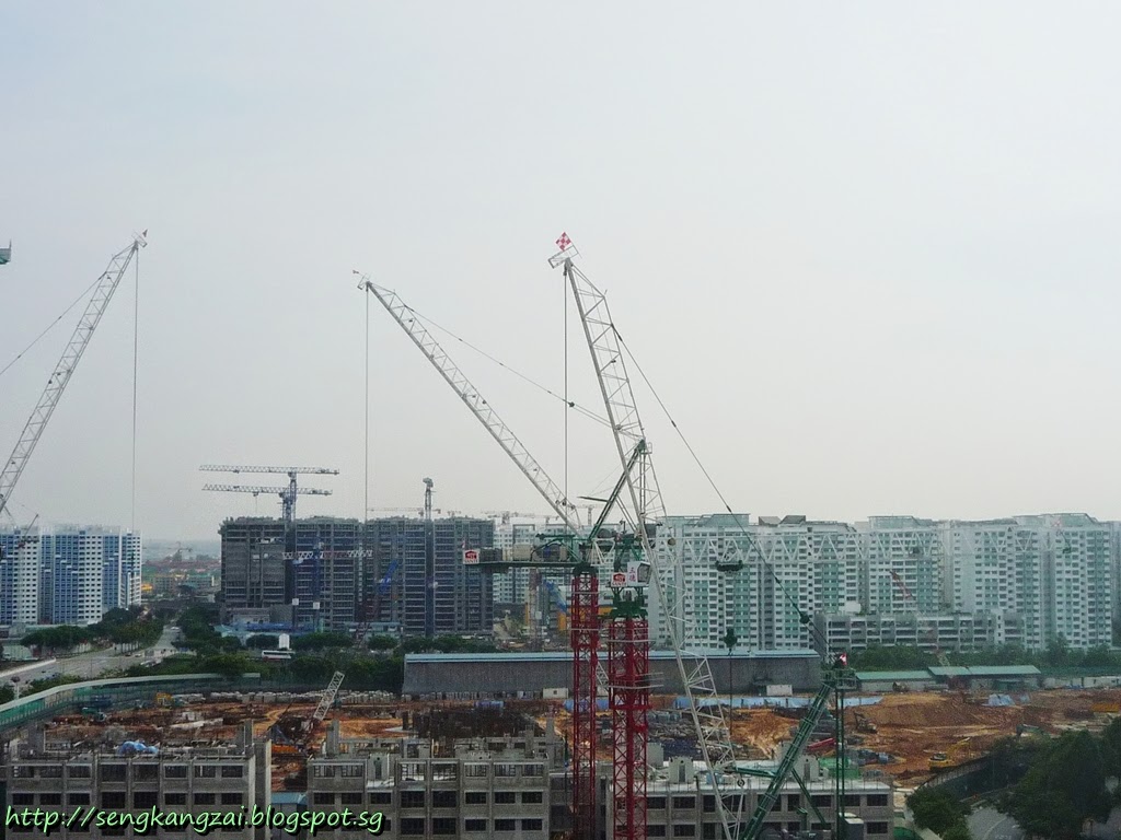Zai@Sengkang: Compassvale Cape (Year 2014 Week 18)