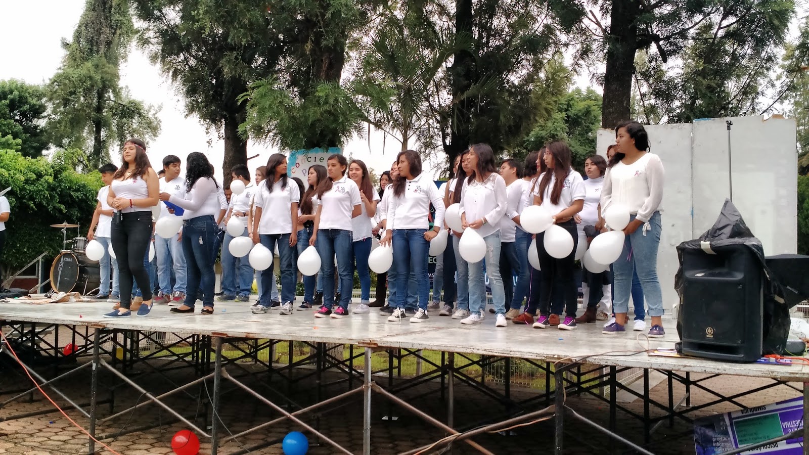 E-English Portfolio Third Grade CETis 21: Pictures