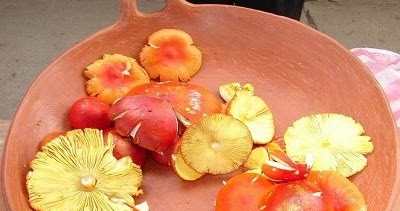 Comida Típica de Intibucá