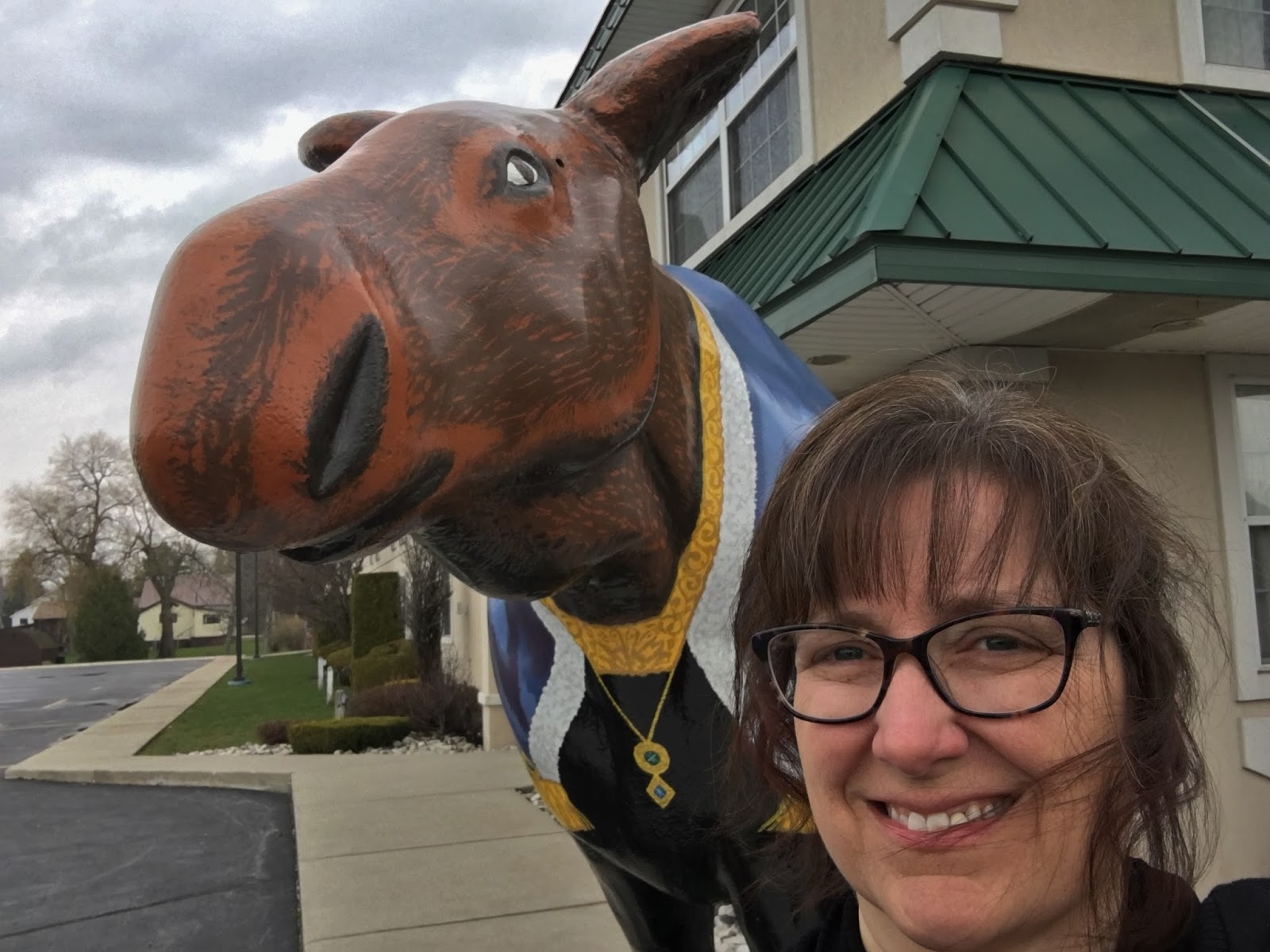 Nomadic Newfies: Moose in the UP?