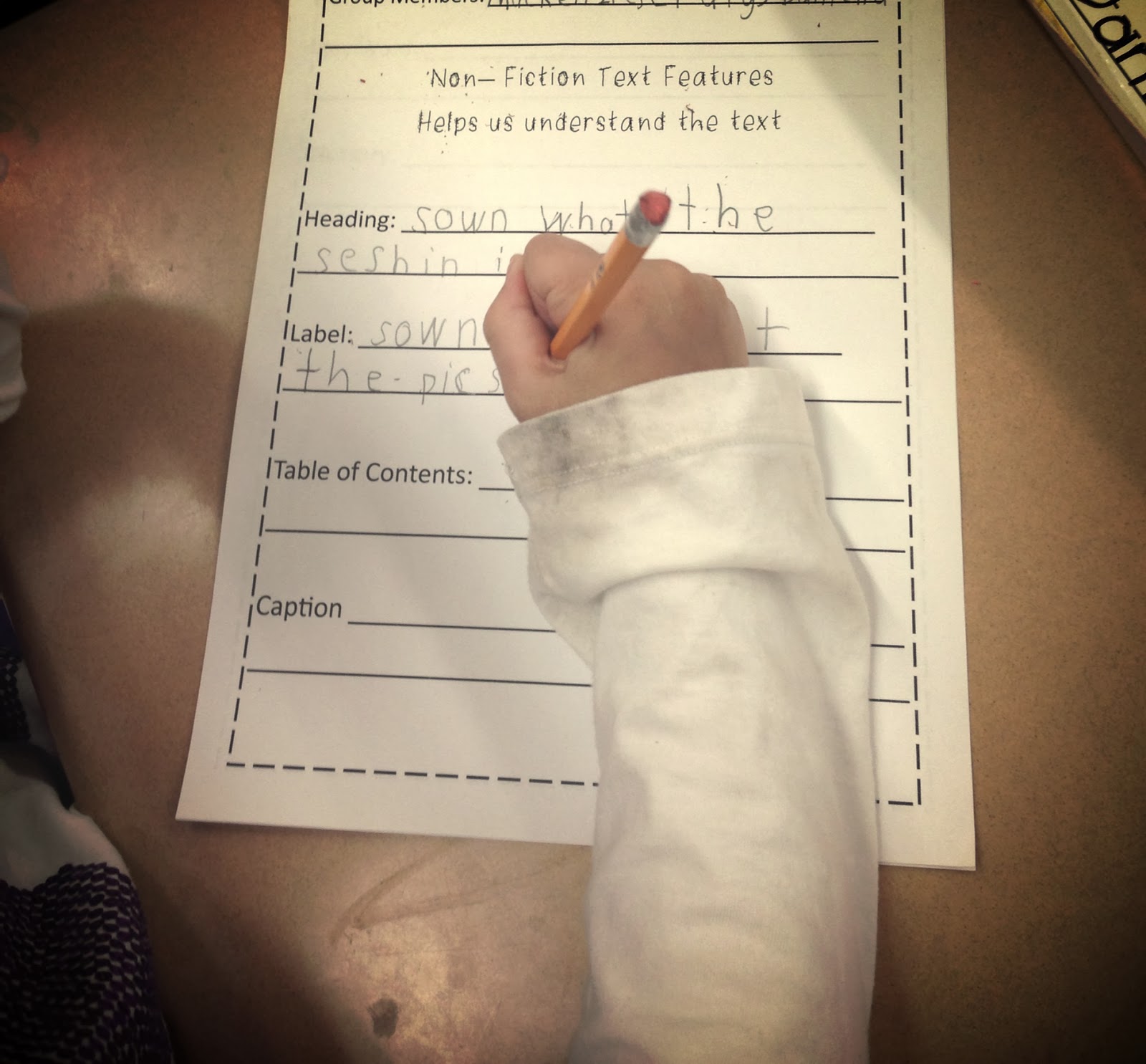 Thrills and Frills in First: Non-Fiction Text Features and a Freebie