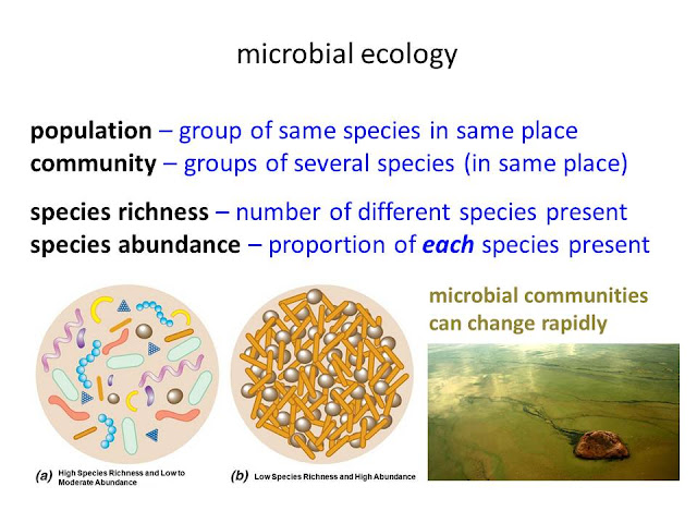 Introduction to Microbial Ecology - Microbes World