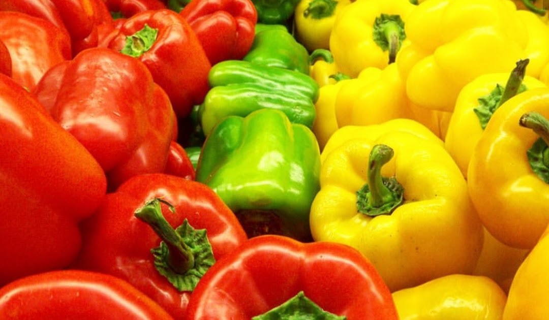 SUMBER ILHAM: KHASIAT LADA BENGGALA