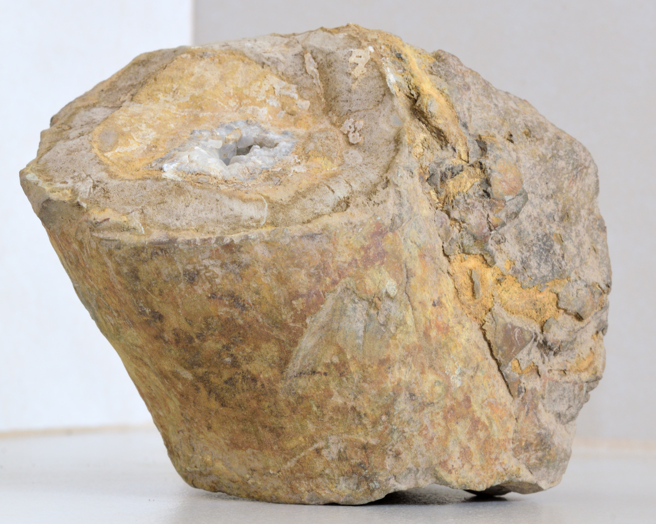 Extraordinary Fossil Found in Puriscal, Costa Rica