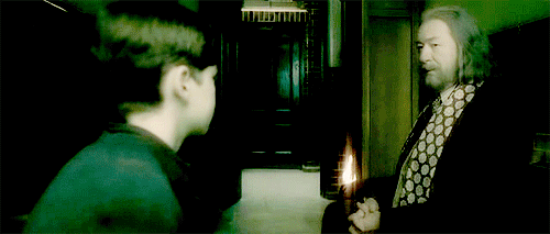 THE GRANDMA'S LOGBOOK ---: TOM MARVOLO RIDDLE, HE-WHO-MUST-NOT-BE-NAMED