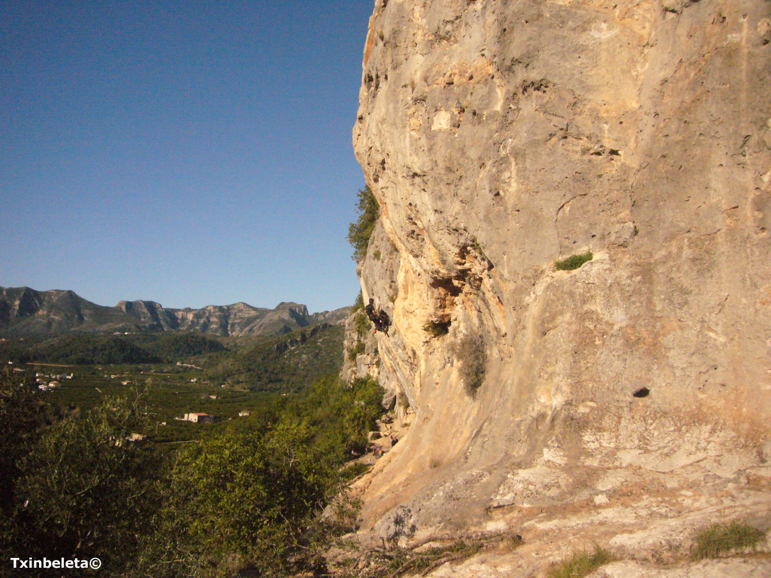TXINBELETA: La Marxuquera