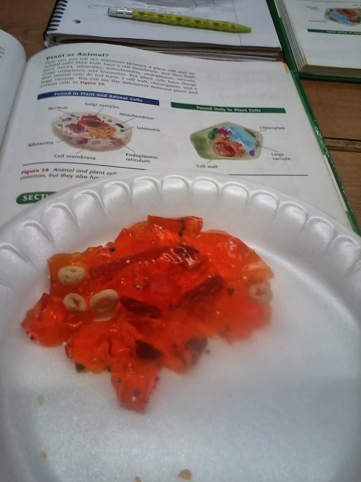 Learning English with Lots of Science