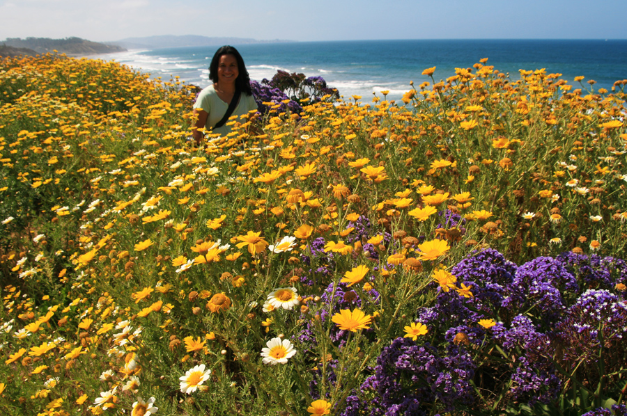 The Joys of Simple Life: Lessons From Nature