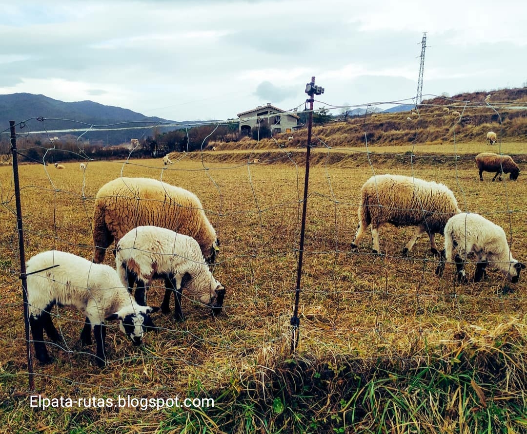 ElPata-Rutas: Ripoll (Gerona)