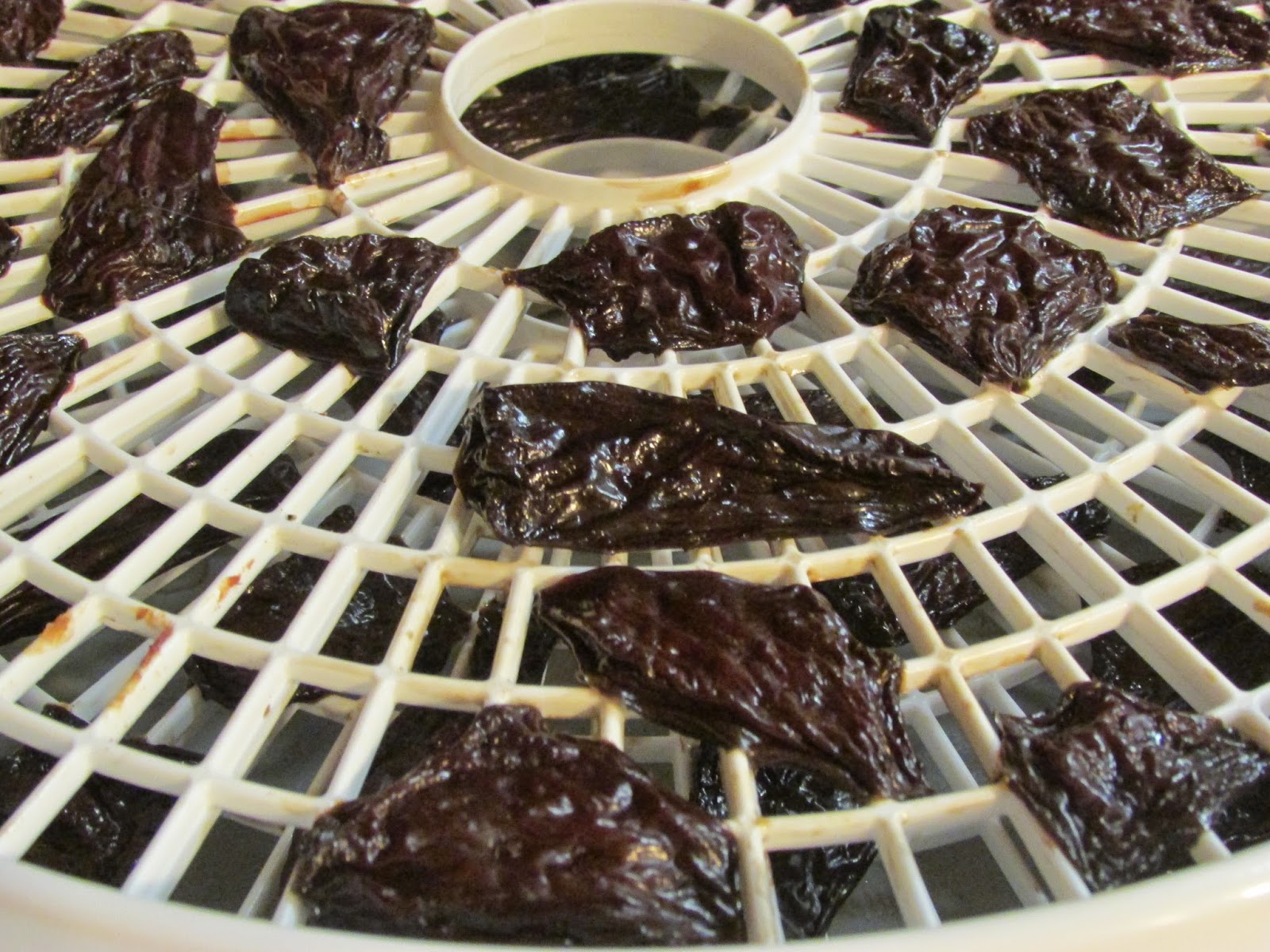 My Rotten Dogs: Homemade Beef Liver Dog Treats: Two Different Ways